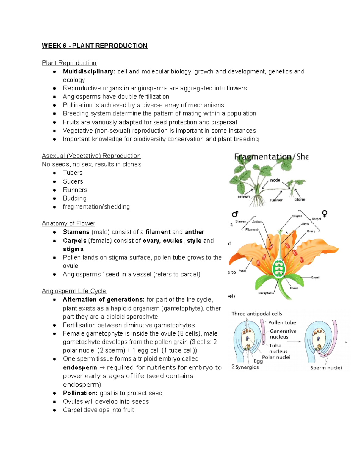 WEEK 6 - Plant Reproduction - WEEK 6 - PLANT REPRODUCTION Plant ...
