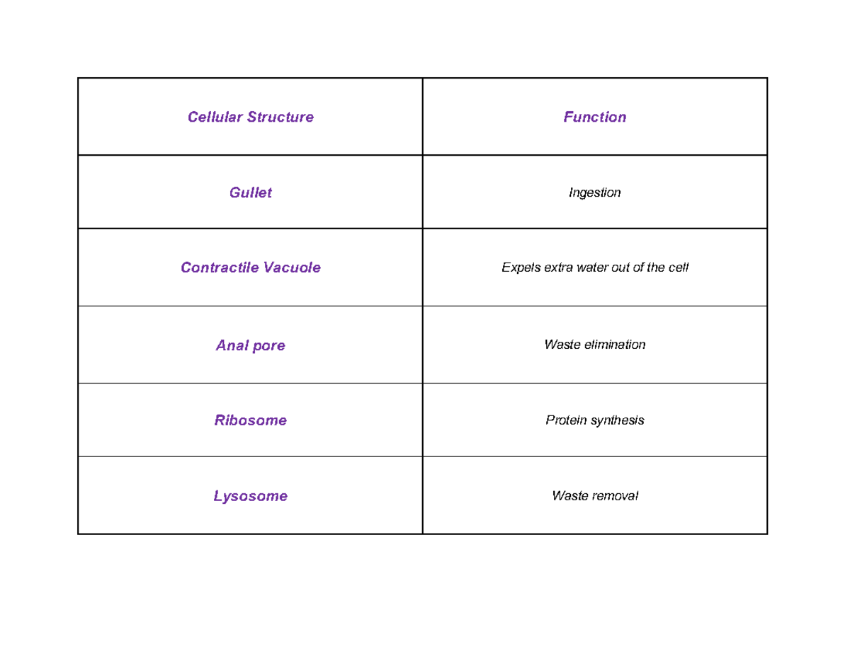 Iprep Cell cycle - Cellular Structure Function Gullet Ingestion ...