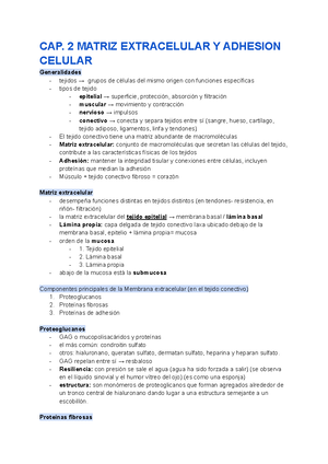 GUIA Biocel (p1) - GUIA BIOCEL La cÈlula, unidad fundamental de la vida ...