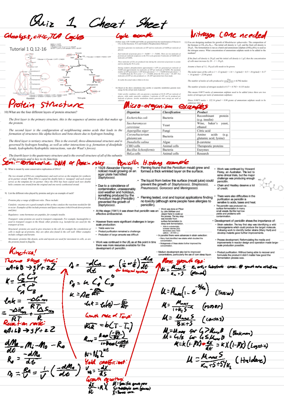 Cheat Sheet Quiz1 - check - Quiz 1 Cheat Sheet Glucolysis, citic , TCA Cycles Cycle example ...