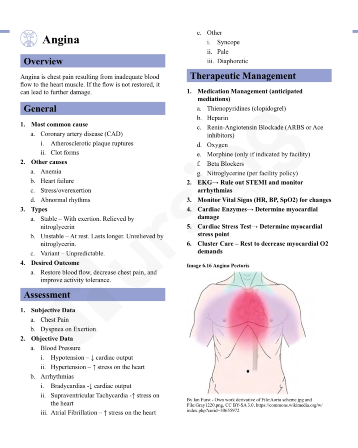 Angina - Chest Pains - 3130 - Studocu
