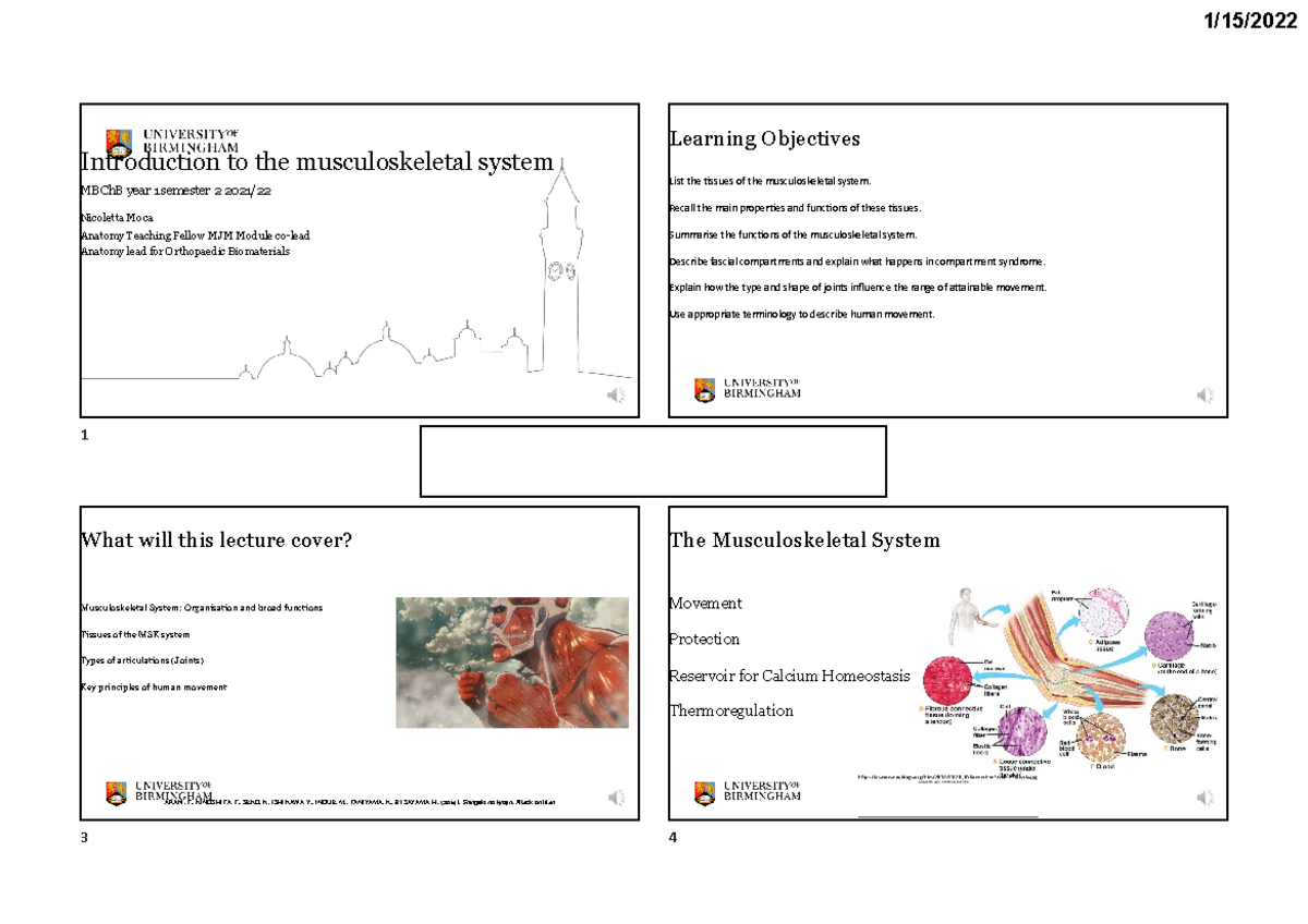 1.1 Introduction to MSK system 4 slides - What will this lecture cover ...