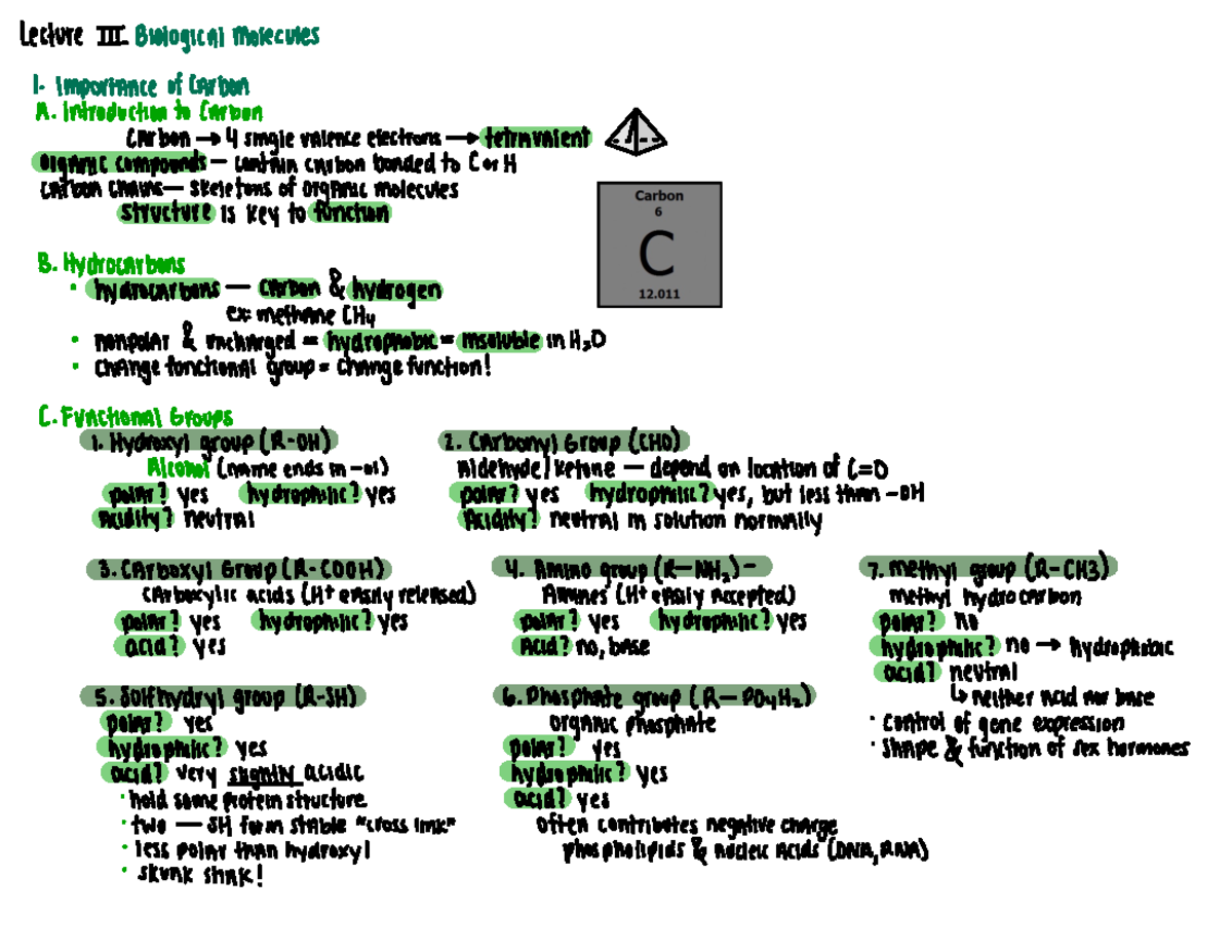 Lecture 3 - Biological Molecules - Lecture # Biological Molecules ...