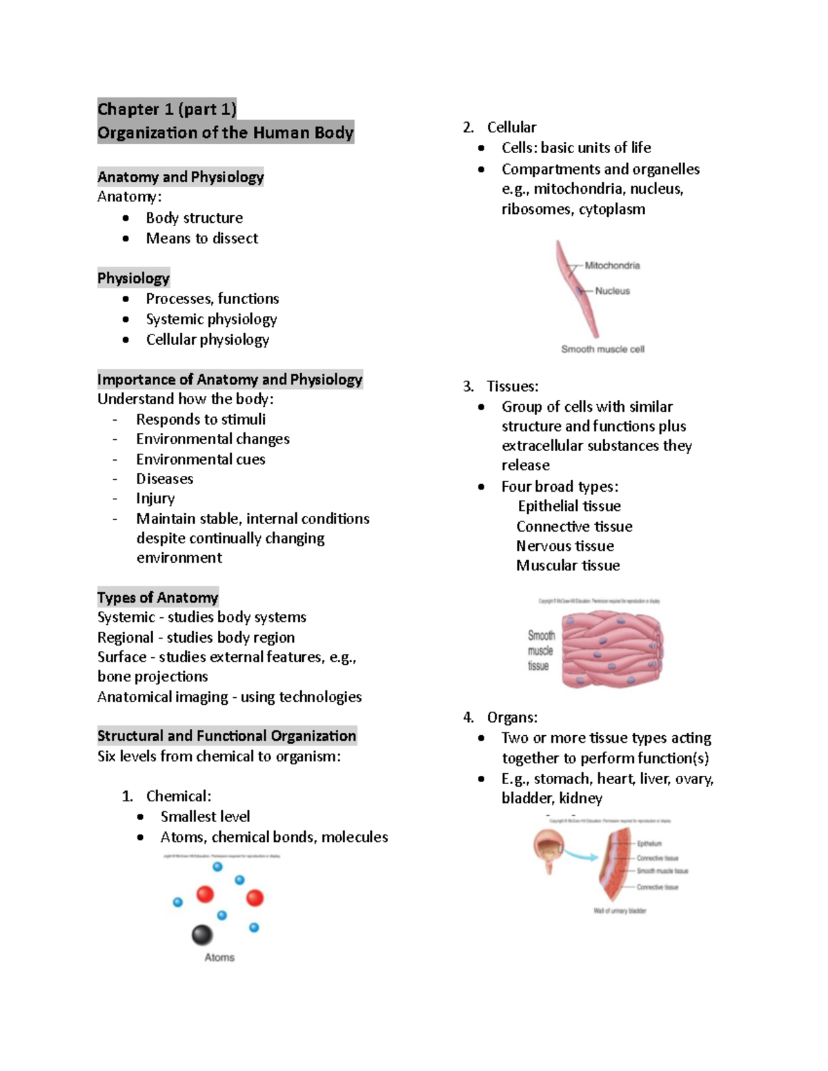 Organization of the Human Body Week 1 - Chapter 1 (part 1) Organization ...