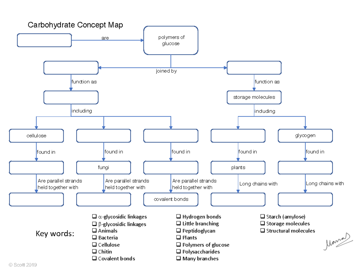 CH2O concept map - Warning: TT: undefined function: 32 Carbohydrate ...