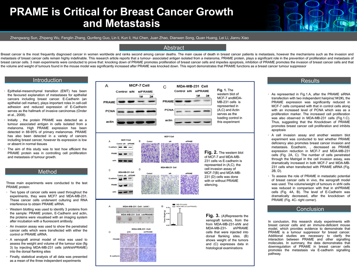 Poster - PRAME is Critical for Breast Cancer Growth and Metastasis ...