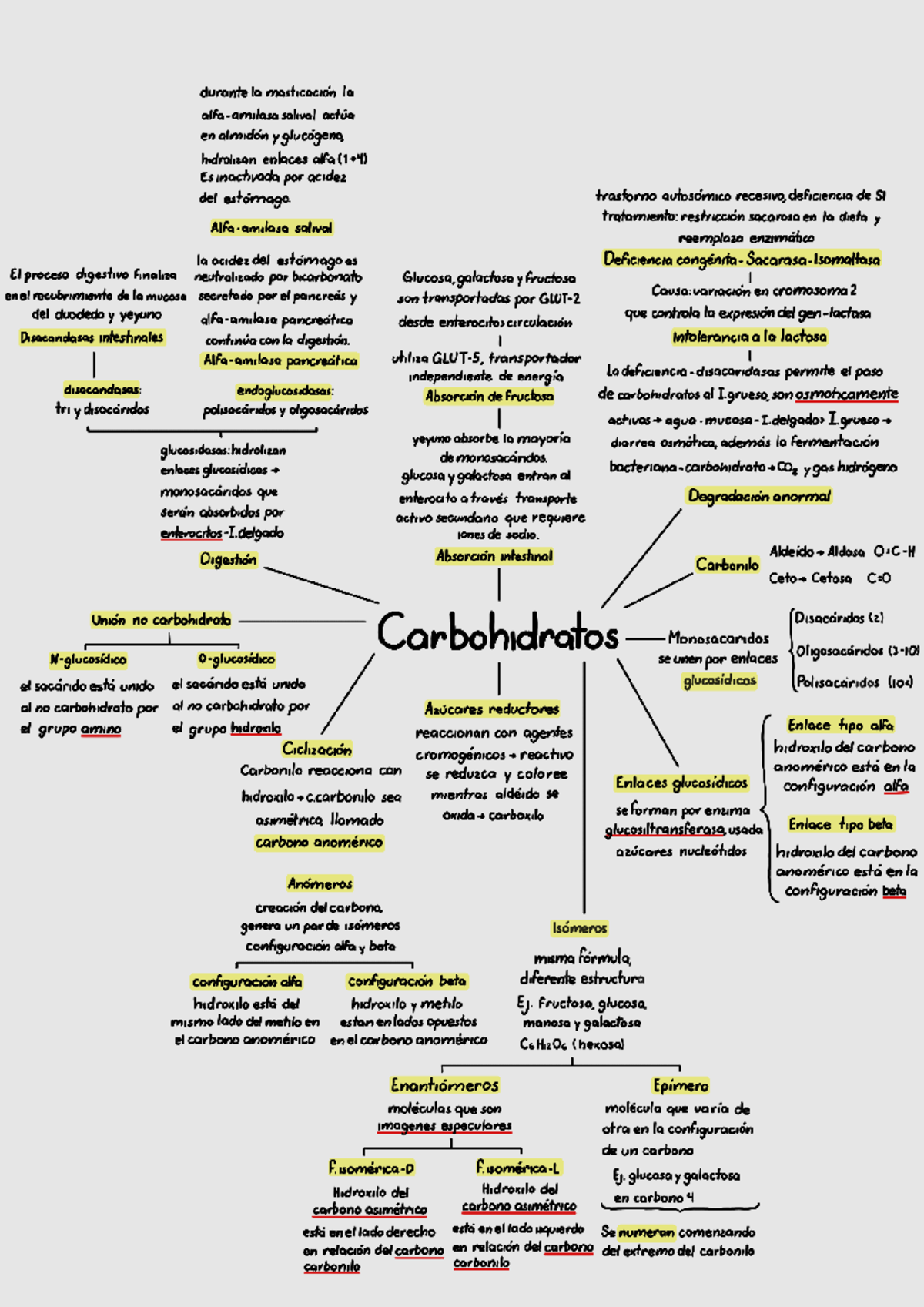 Notas de bioca - durante la masticación la salival actua en almidon y ...