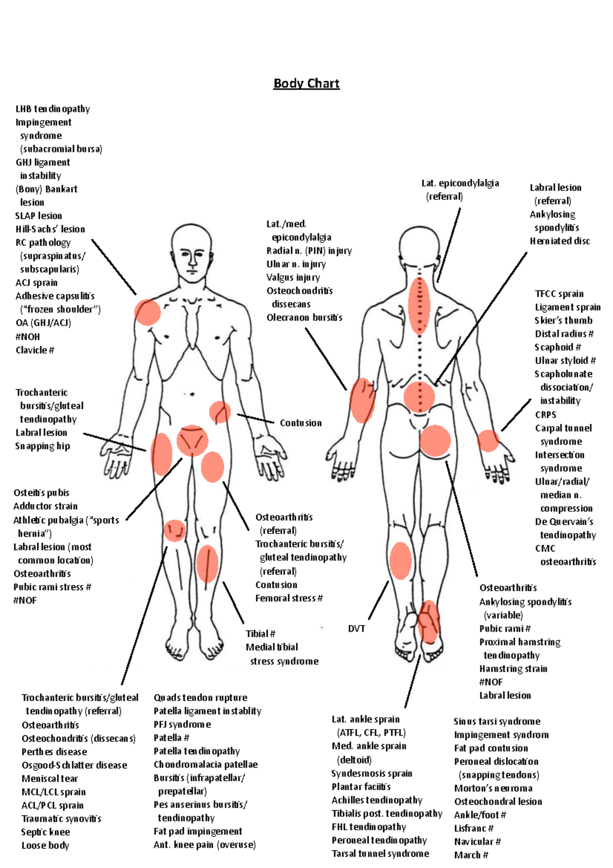 Differential diagnoses - Body Chart LHB tendinopathy Impingement ...