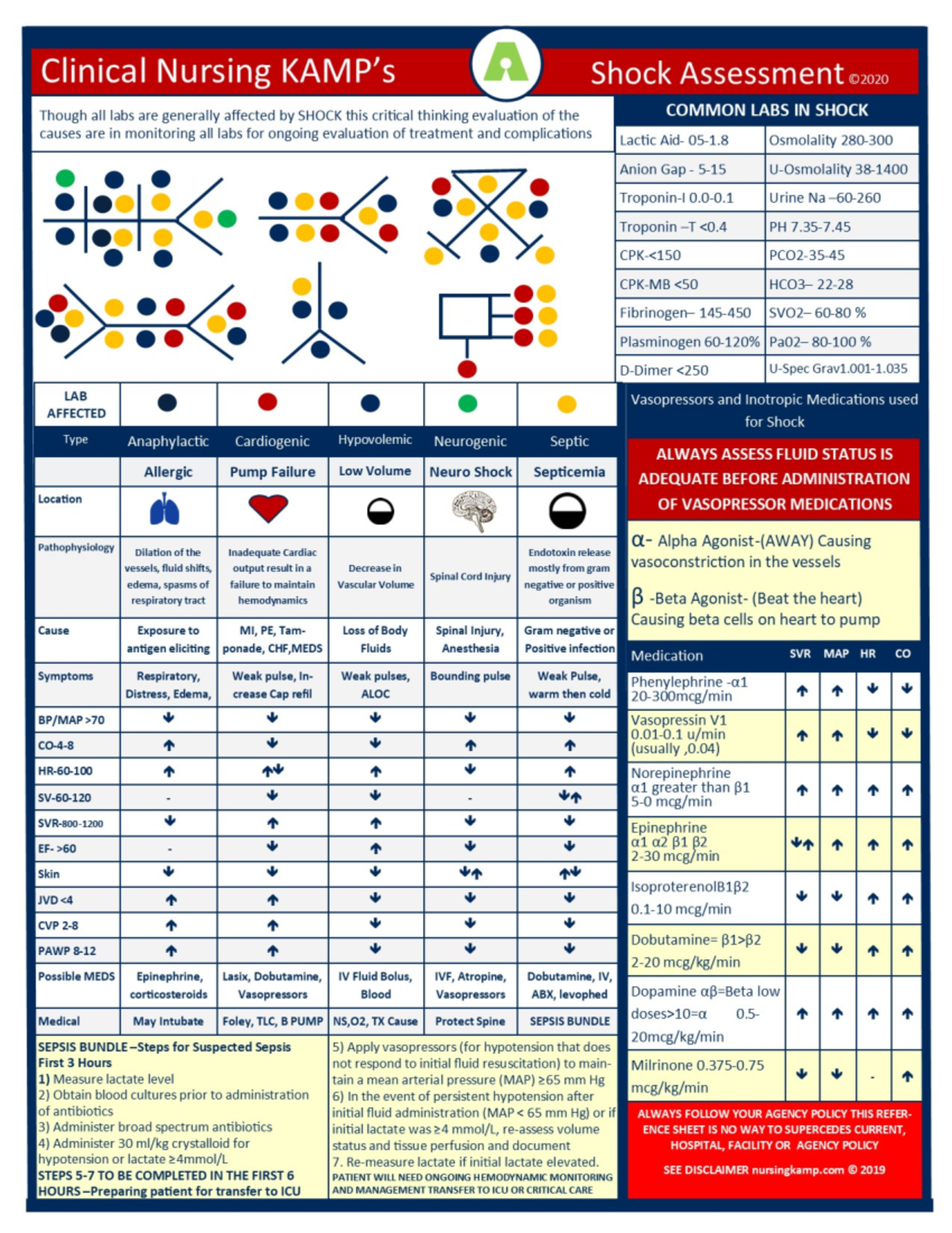 Clinical Nursing KAMP Shock Assessment N - 2038 - Studocu