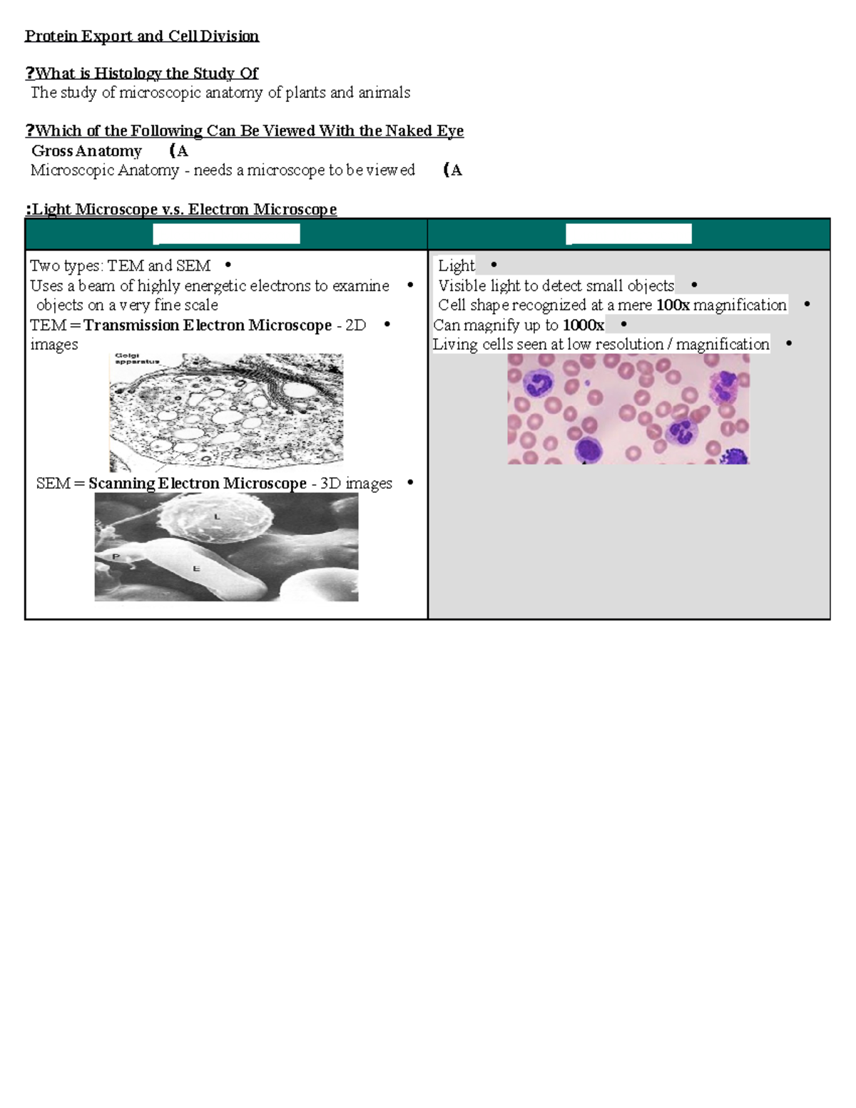 Unit 1: Protein Export : Cell Division - Protein Export and Cell ...