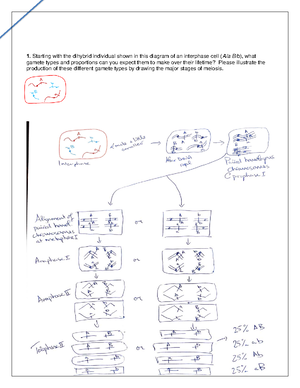 Seminar assignments - excercise 2 with the book "introduction to ...