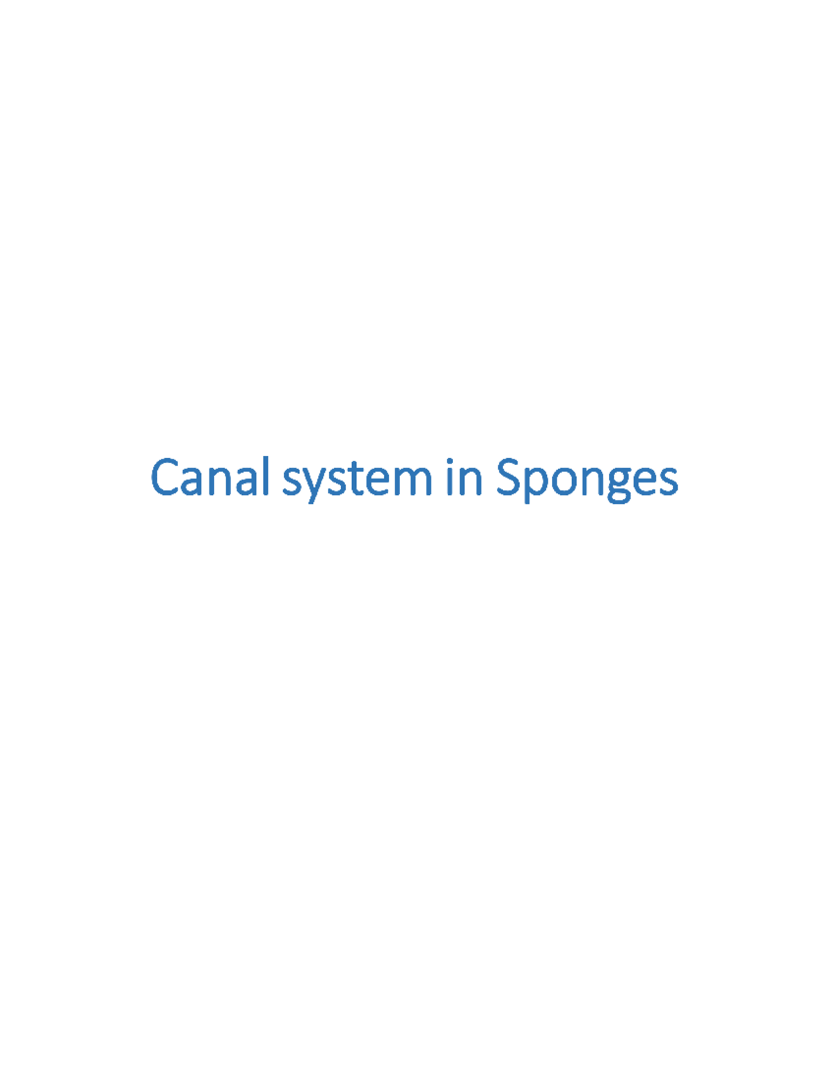 Canal system in sponges - Canal system in SpongesWhat is canal system ...