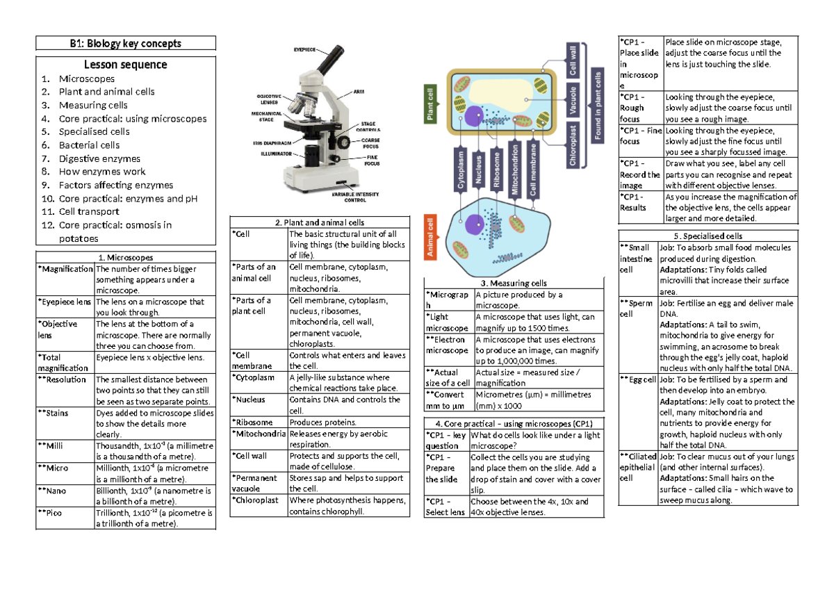 B1 - Key Concepts In Biology - B1: Biology key concepts Lesson sequence ...