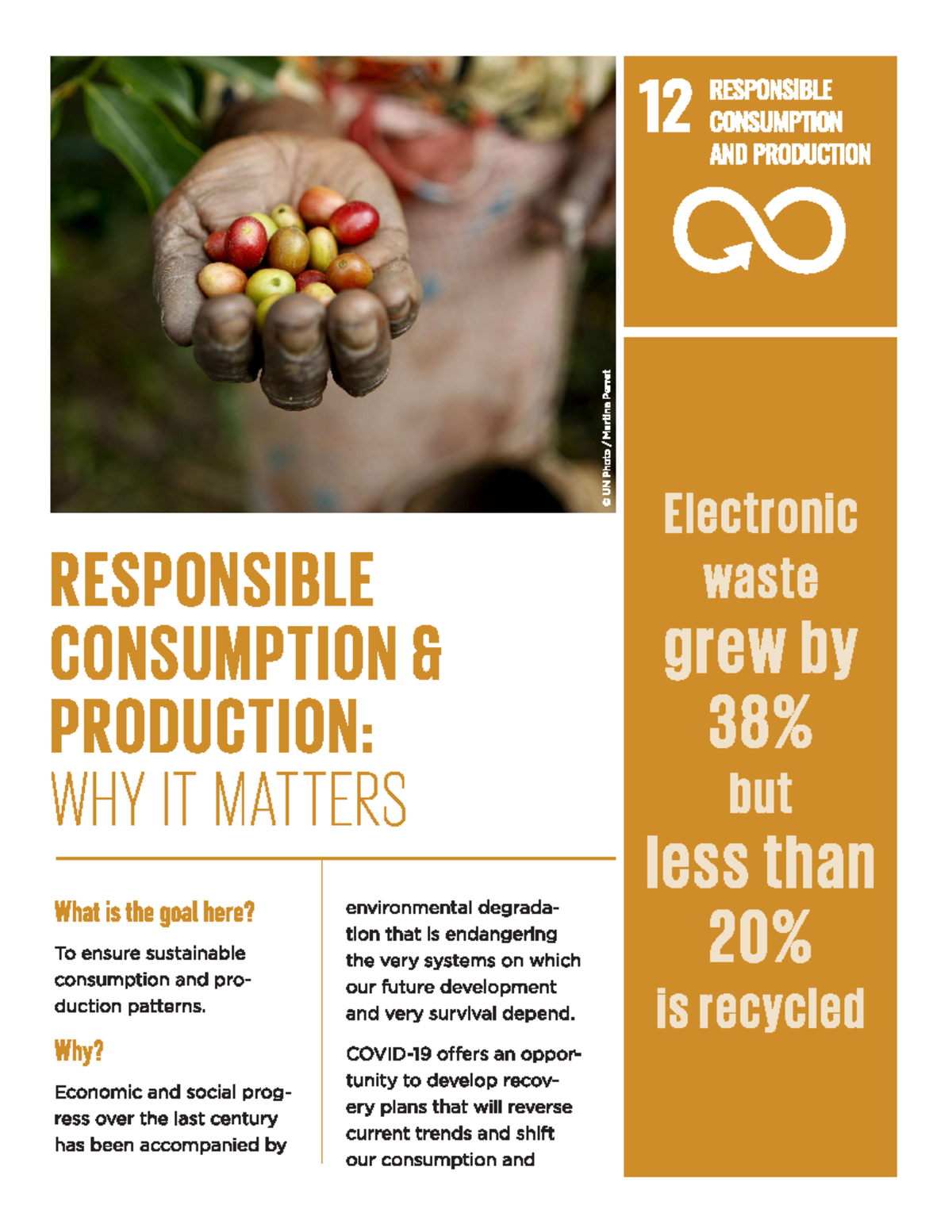 SDG 12 Responsible Consumption and production - 12 RESPONSIBLE ...