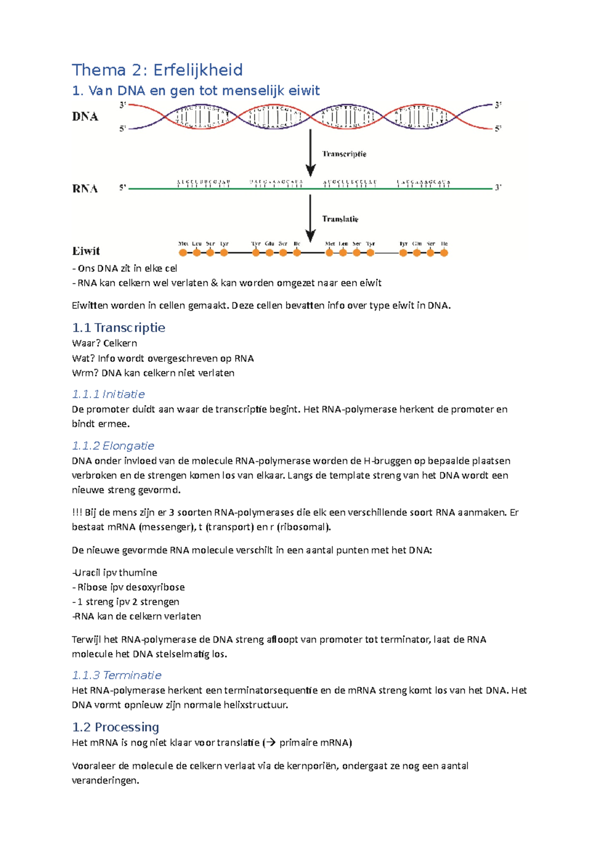 Trimester 2 eiwitsynthese - Thema 2: Erfelijkheid 1. Van DNA en gen tot ...