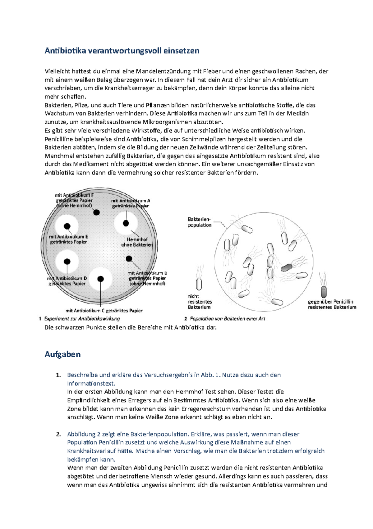 Bio-Antibiotika - Aufgaben zum Thema Antibiotika verantwortungsvoll ...