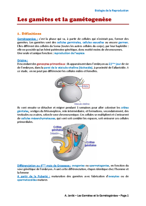 Morphogénèse Primordiale - Biologie de la Reproduction Morphogénèse ...
