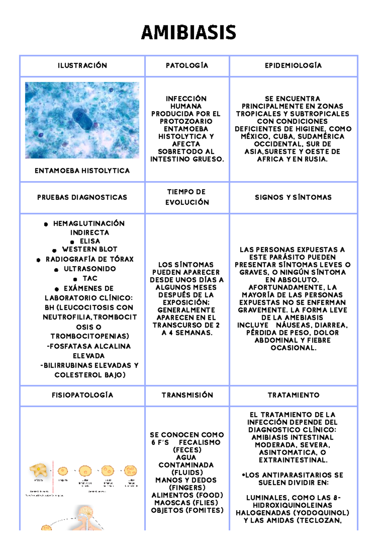 Amibiasis - tabla resumida con características del parasito - AMIBIASIS ...