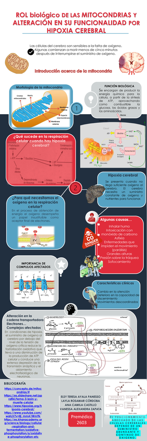 Tabla de colores corine land cover - IYM_SGC_IN_ Versión: Libertad y ...