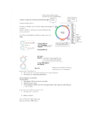 Chapter 19 - Professor Croshaw Lecture Notes in detail and explained ...