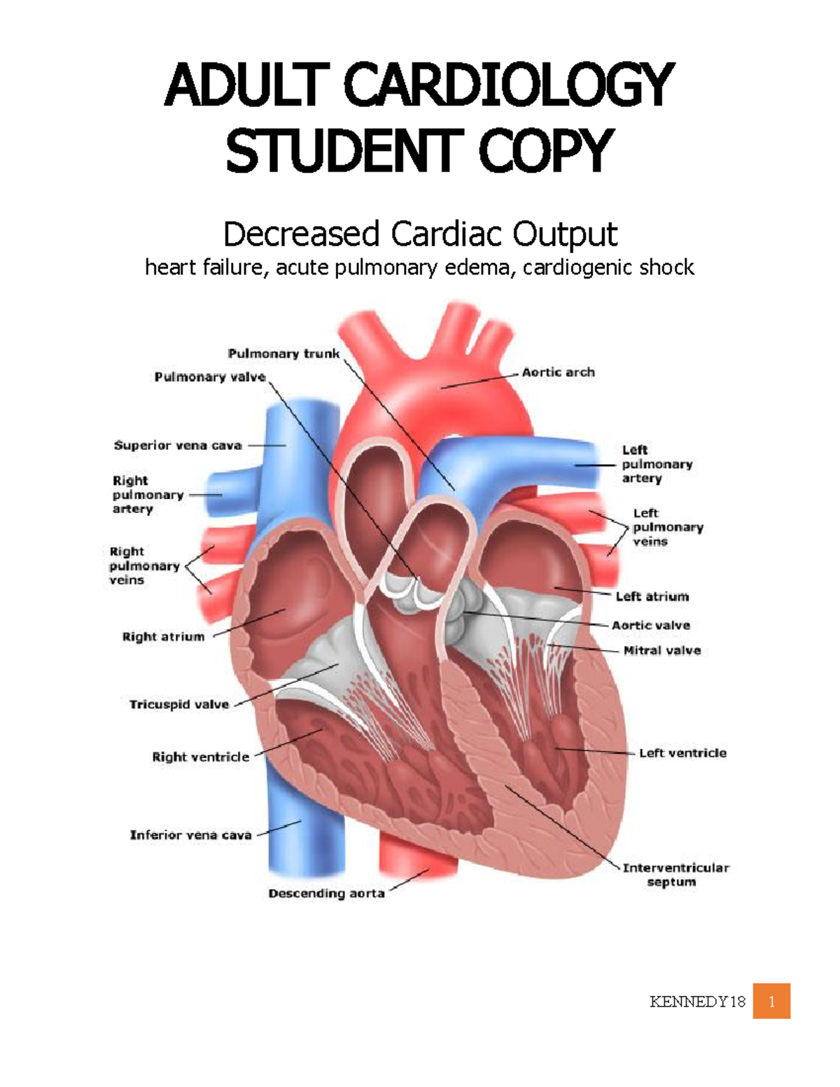 Adult Cardiac Universal Handout - ADULT CARDIOLOGY STUDENT COPY ...