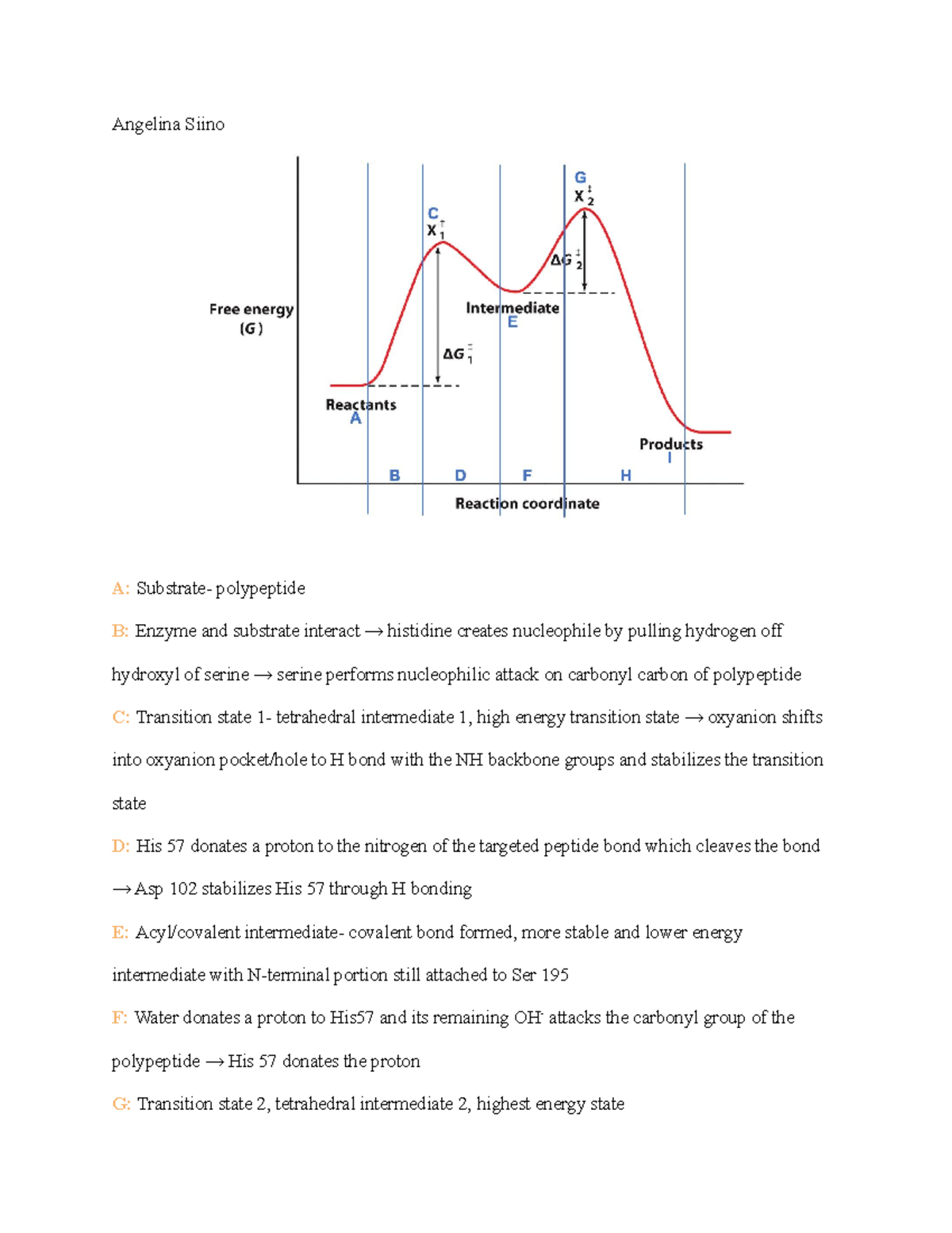 Biochemistry In class assignment- Enzyme Mechanism Summary - Angelina ...