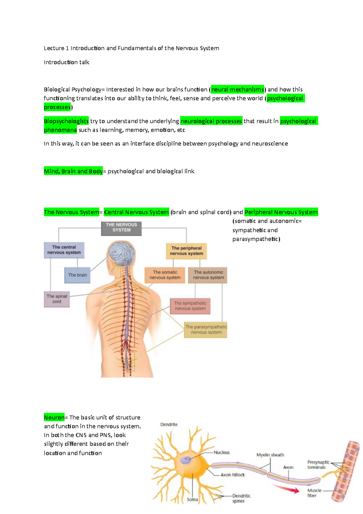 Lecture 1 Introduction and Fundamentals of the Nervous System - In both ...