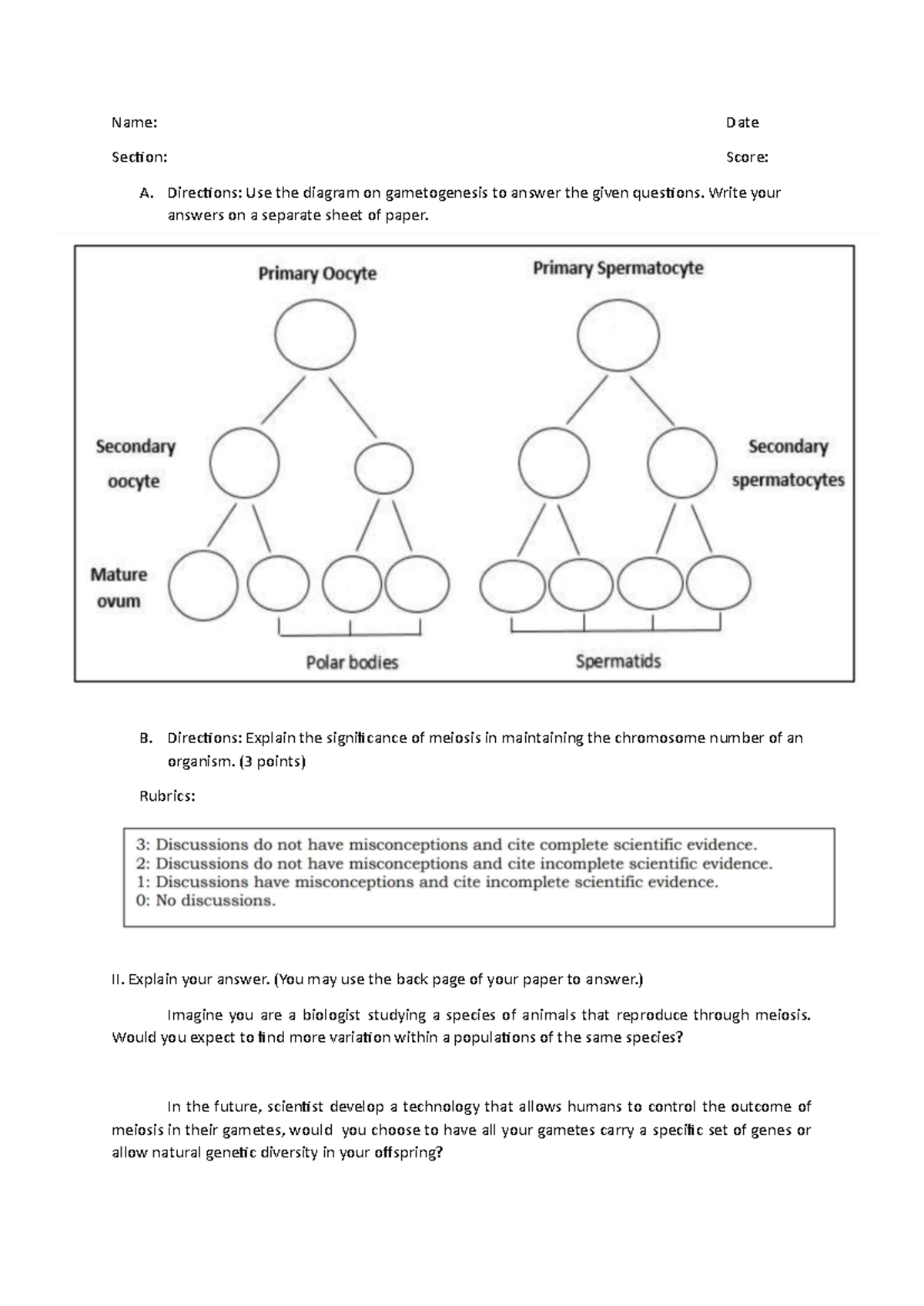 Meiosis Assessment - mitosis - Name: Date Section: Score: A. Directions ...
