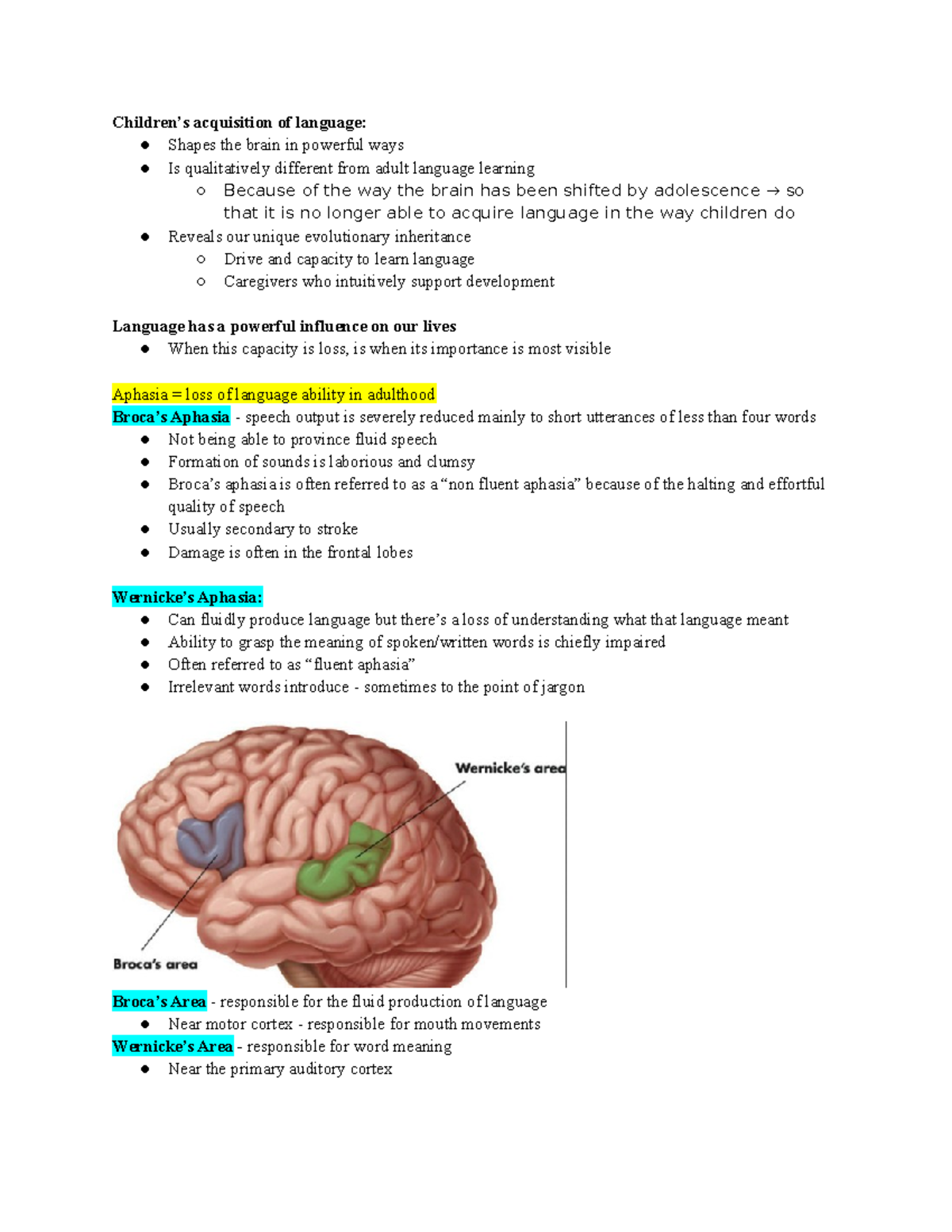 Unit 2 Lecture 4 Language - Children’s acquisition of language: Shapes ...