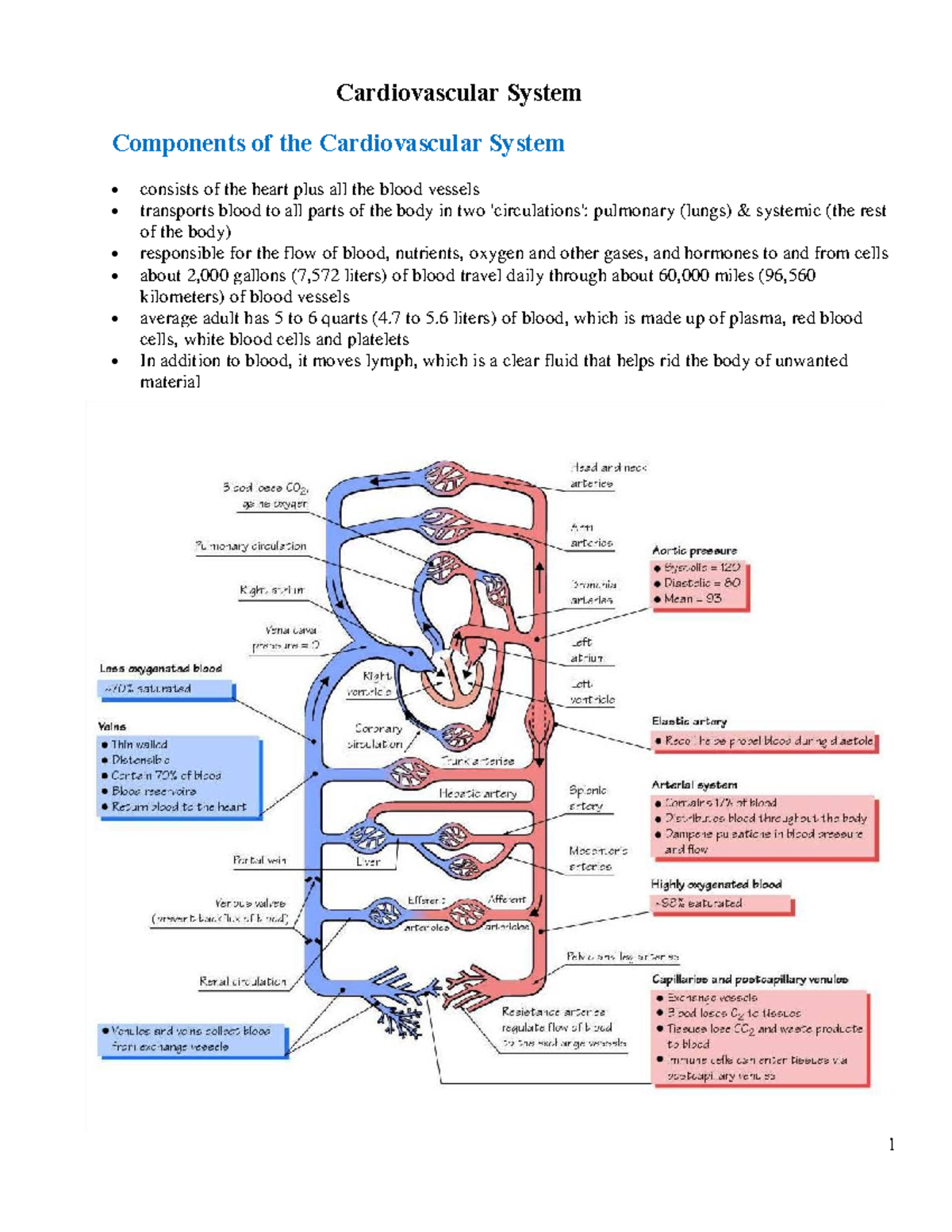 Data(Cardiovascular System) - Cardiovascular System Components of the ...