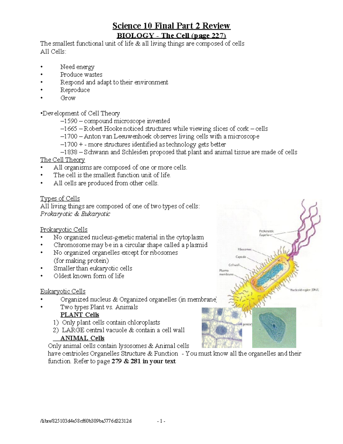 Science 10 final part 2review key - Science 10 Final Part 2 Review ...