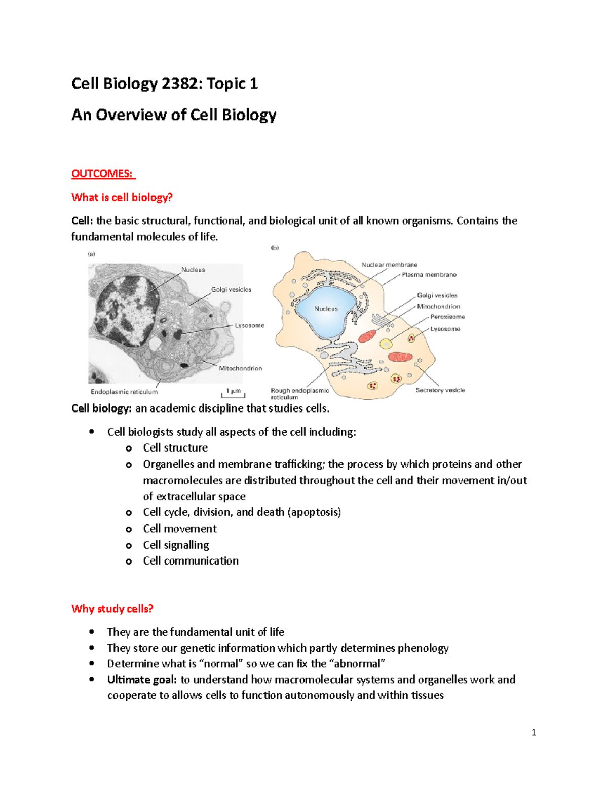 Cell Biology: An Overview and Study Methods - Studocu