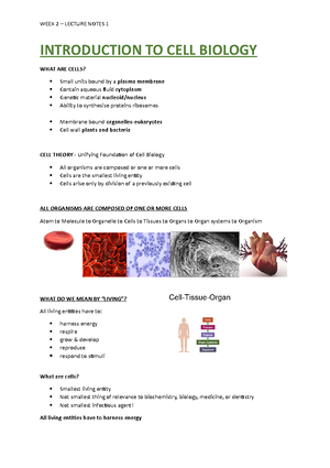 Cell Cycle - Understand the principles of the cell cycle and cell ...