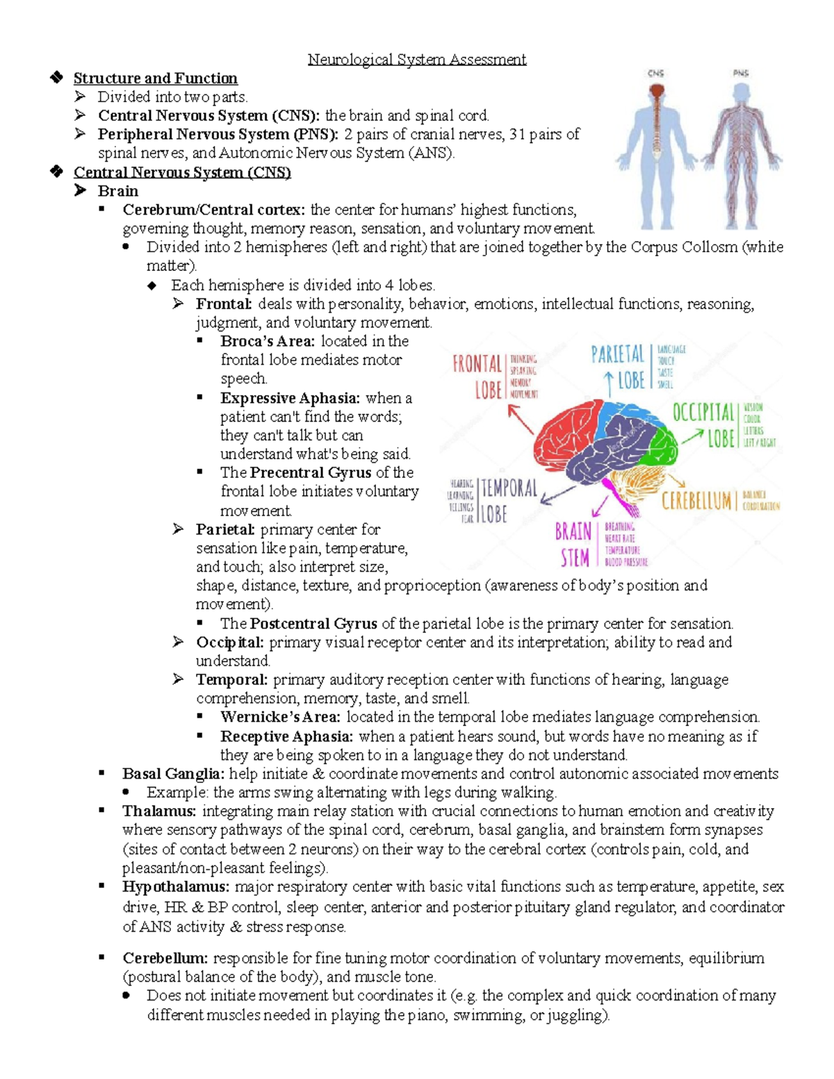 Neurological System Assessment - Central Nervous System (CNS): the ...