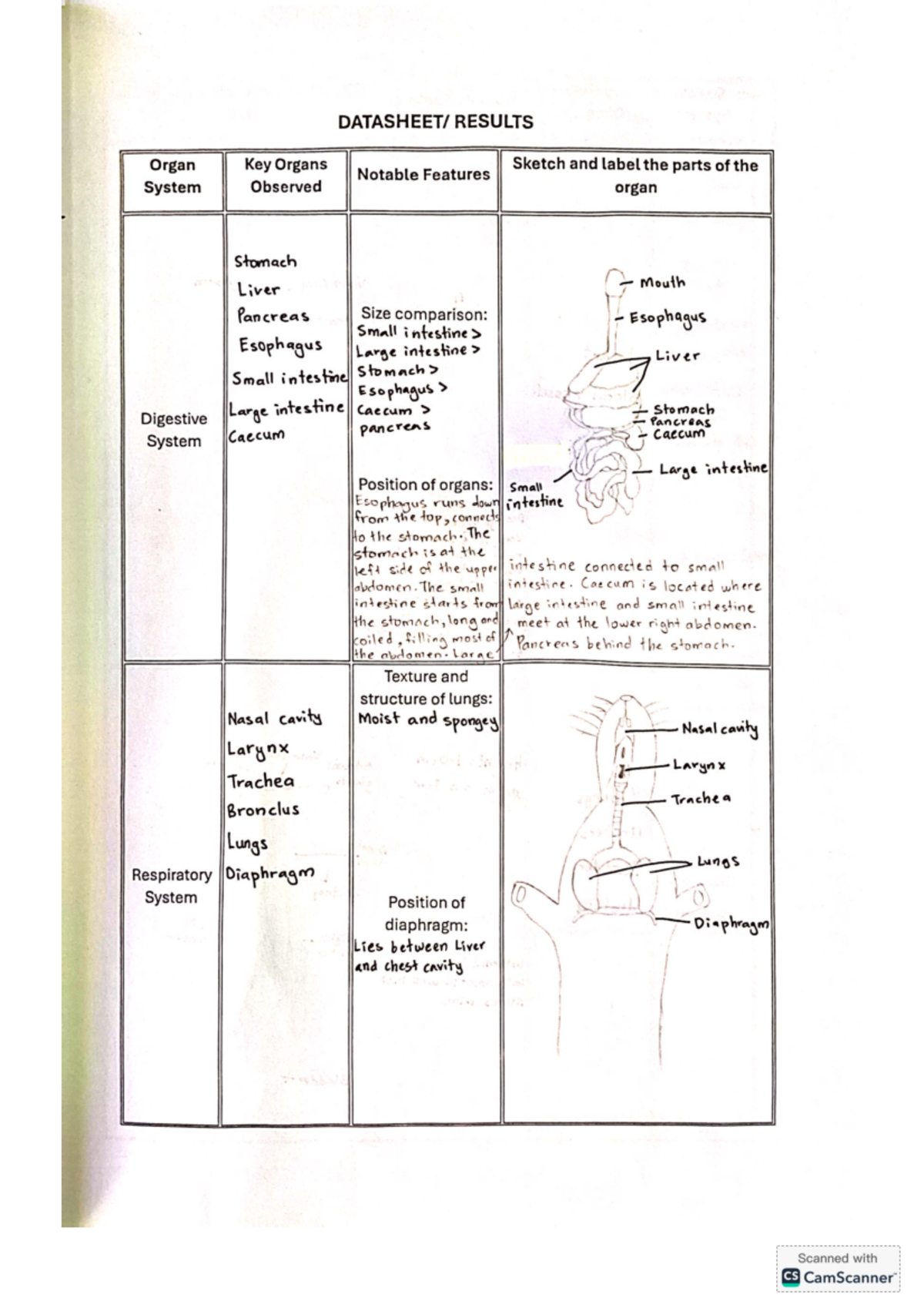 5 6147757591255584491 - Organ Key Organs Sketch and label the parts of ...