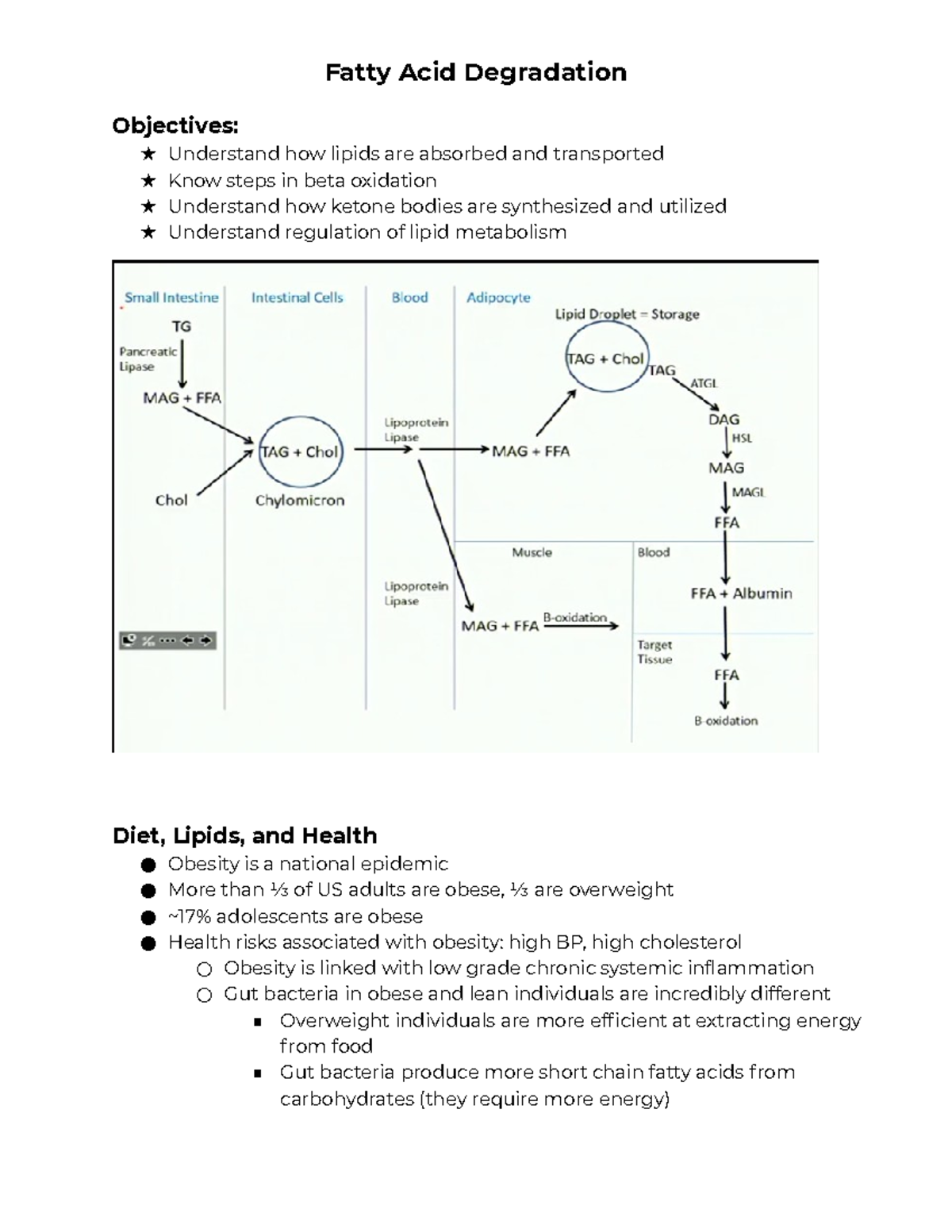 L33 34 Fatty Acid Degradation - Fatty Acid Degradation Objectives ...