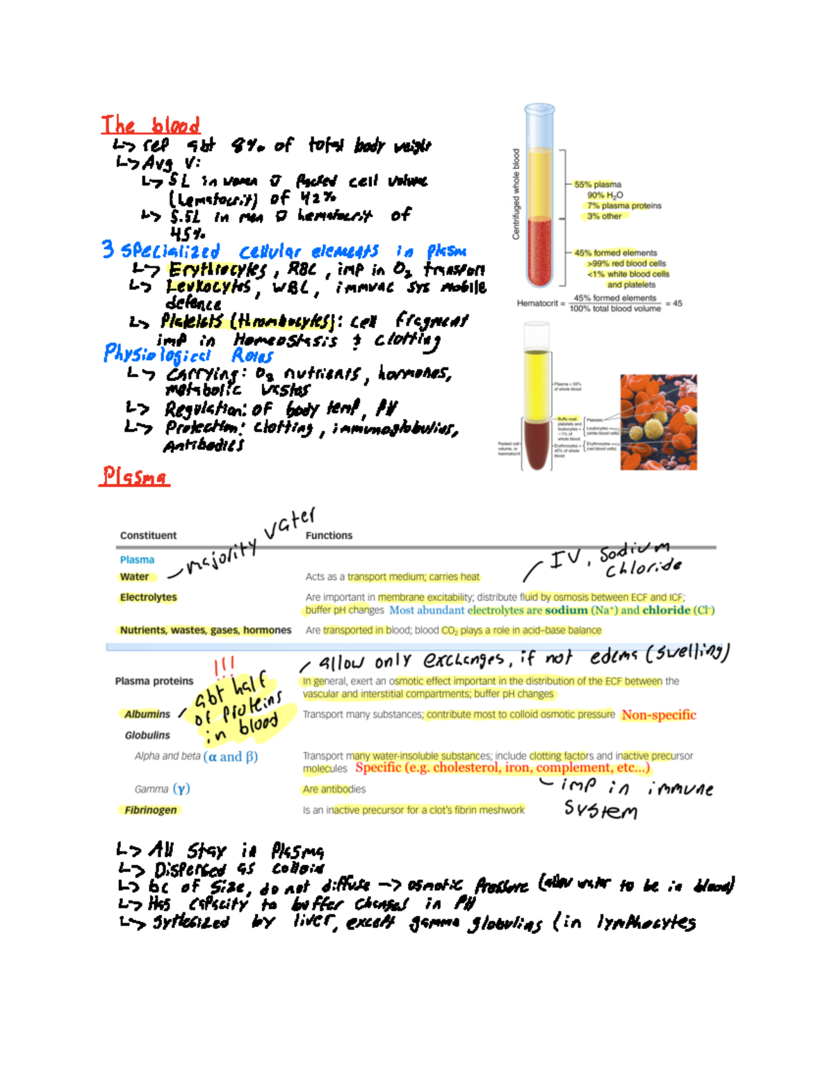 Module 2 - Blood and Immunology- Review - The blood rep abt 890 of ...