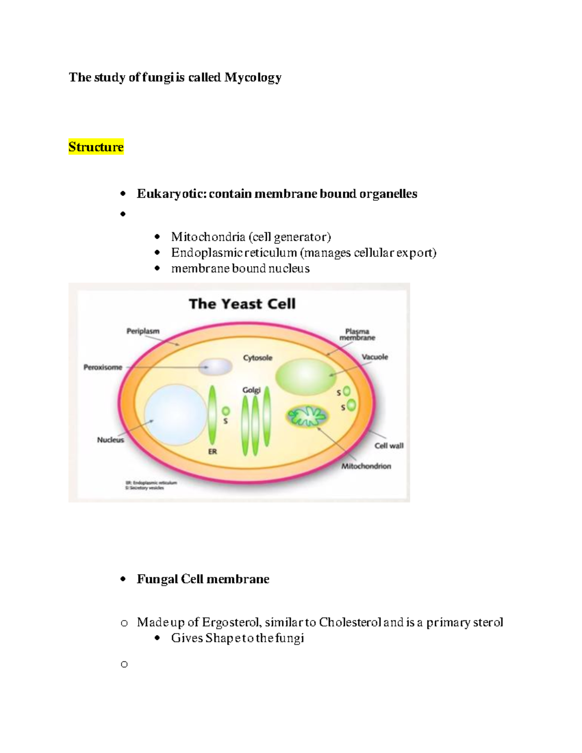 MICR - Fungi - The study of fungi is called Mycology Structure ...