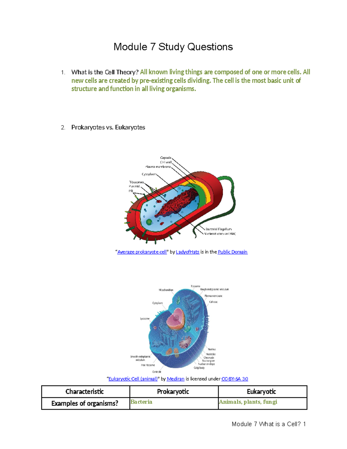 C190.v3 module 7 study questions - Module 7 Study Questions 1. What is ...