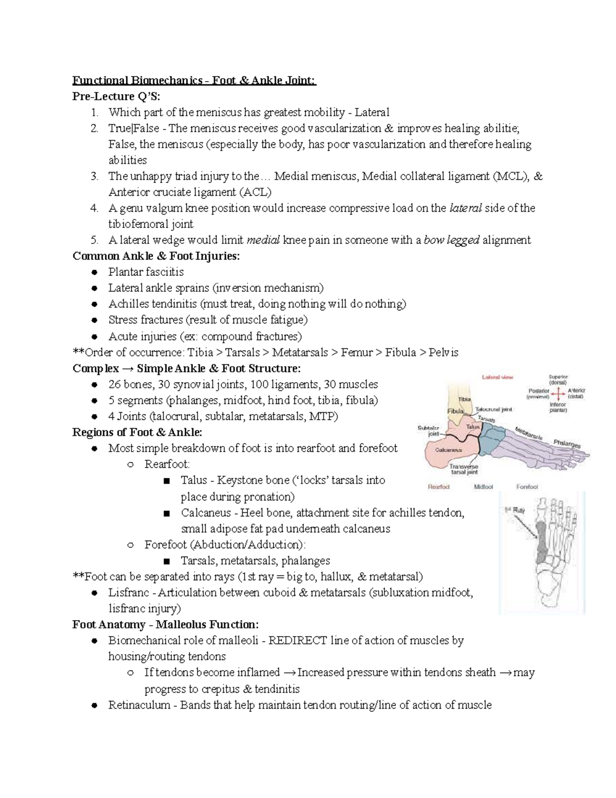 Kines - Foot & Ankle - Lecture notes 10 - Functional Biomechanics ...