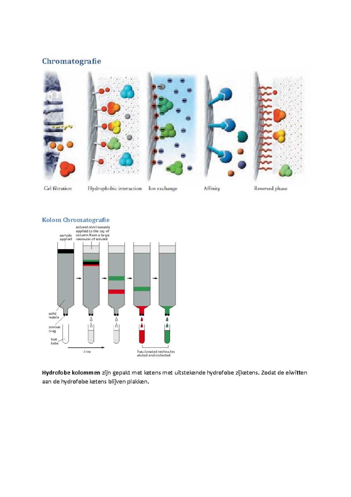 Chromatografie - Samenvatting Scheidingsmethoden - Chromatografie Kolom ...