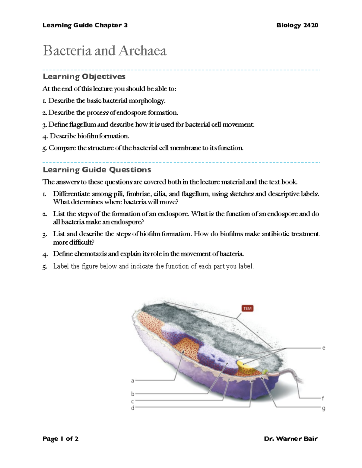 2420 Micro Cowan SLG chp 3 - Learning Guide Chapter 3 Biology 2420 ...