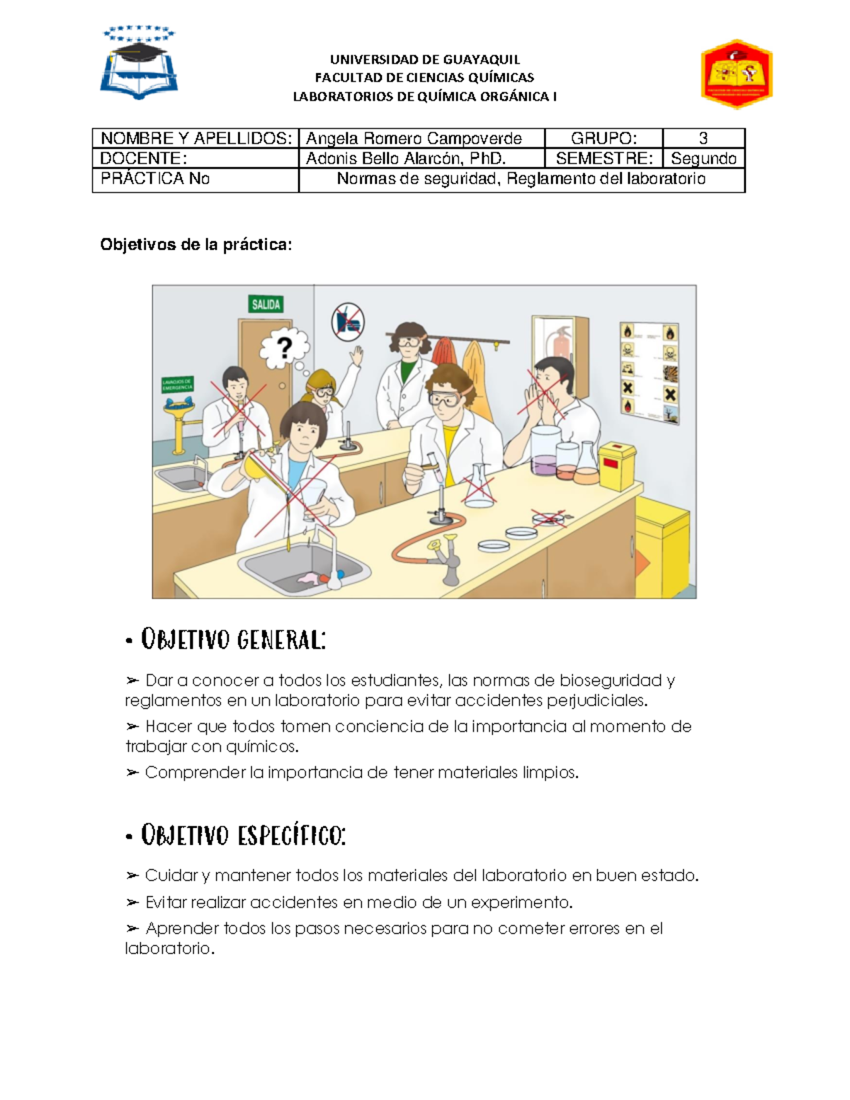 Informe practica 1 de orgánica docente ADONIS BELLO ALARCÓN ...