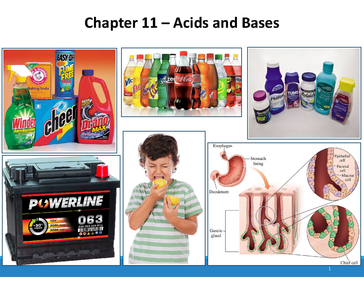 CHEM1070 F23 Chapter 11 1slide - Chapter 11 – Acids and Bases ...
