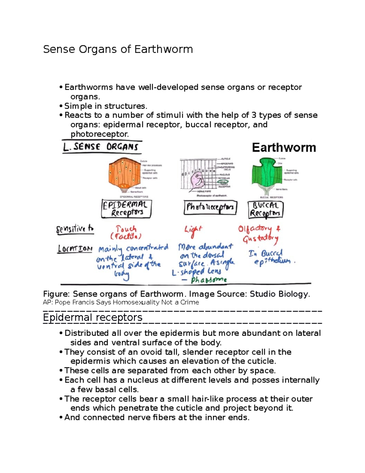 Sense Organs of Earthworm - Simple in structures. Reacts to a number of ...