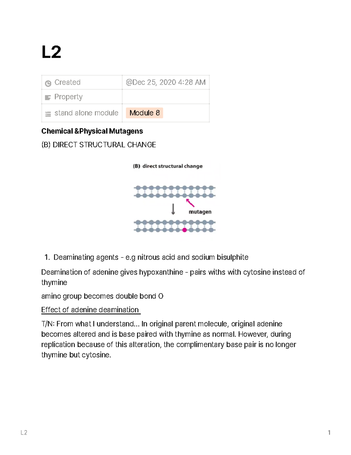 Molecular Biology Lecture 2: Types of mutations - Lԇ Ԇ L Created ...