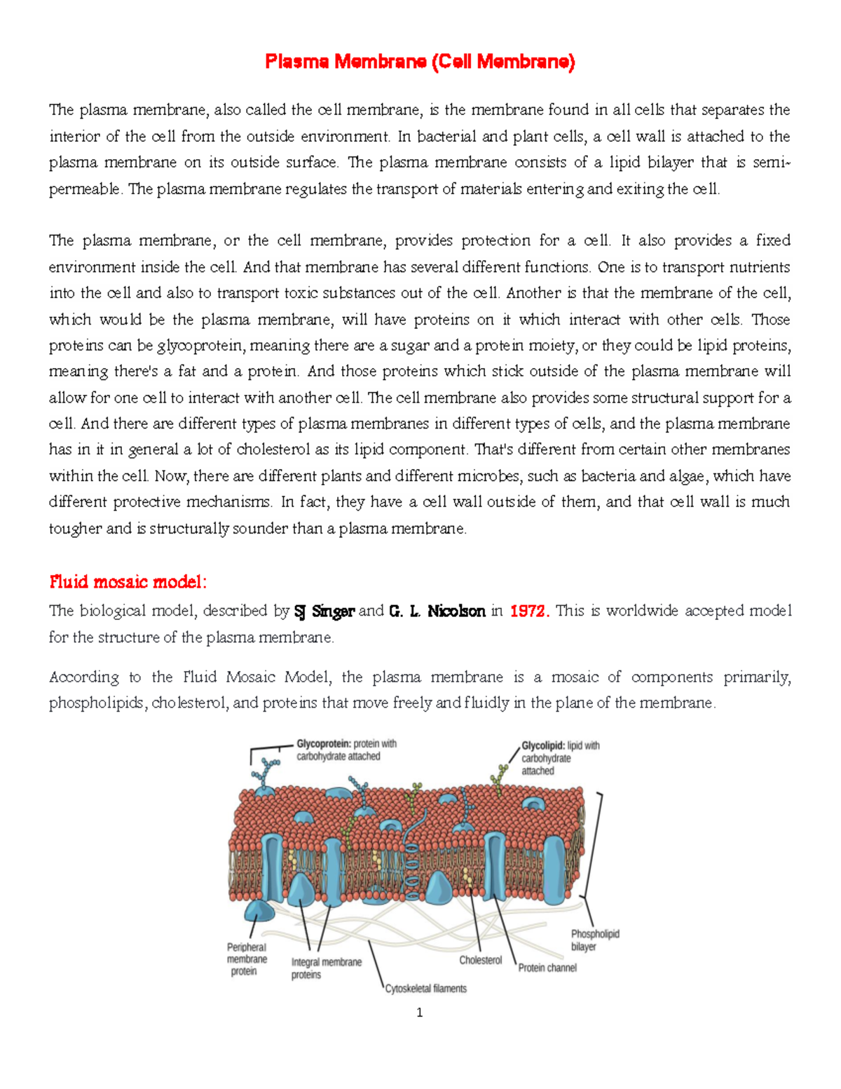 Plasma Membrane Structure - Plasma Membrane (Cell Membrane) The plasma ...