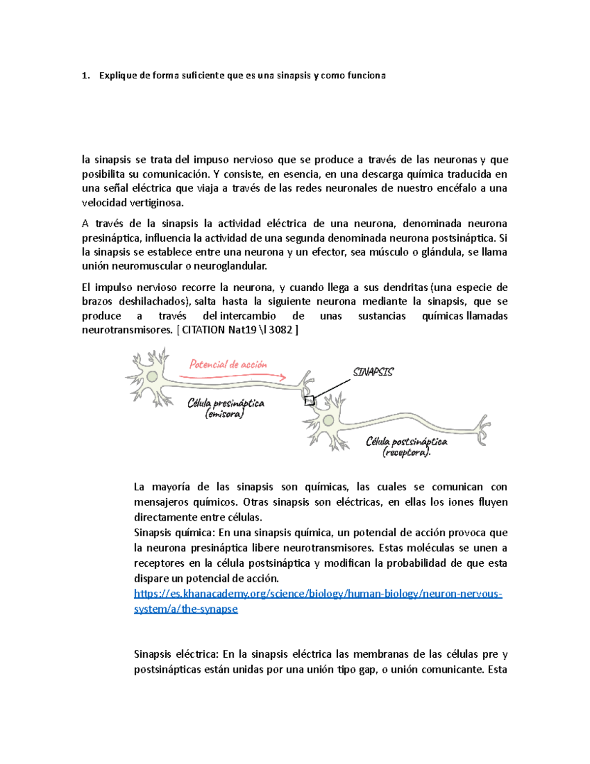 Sinapsis- Hecho por Yelitza Lopez Rodriguez año 2021 - 1. Explique de ...