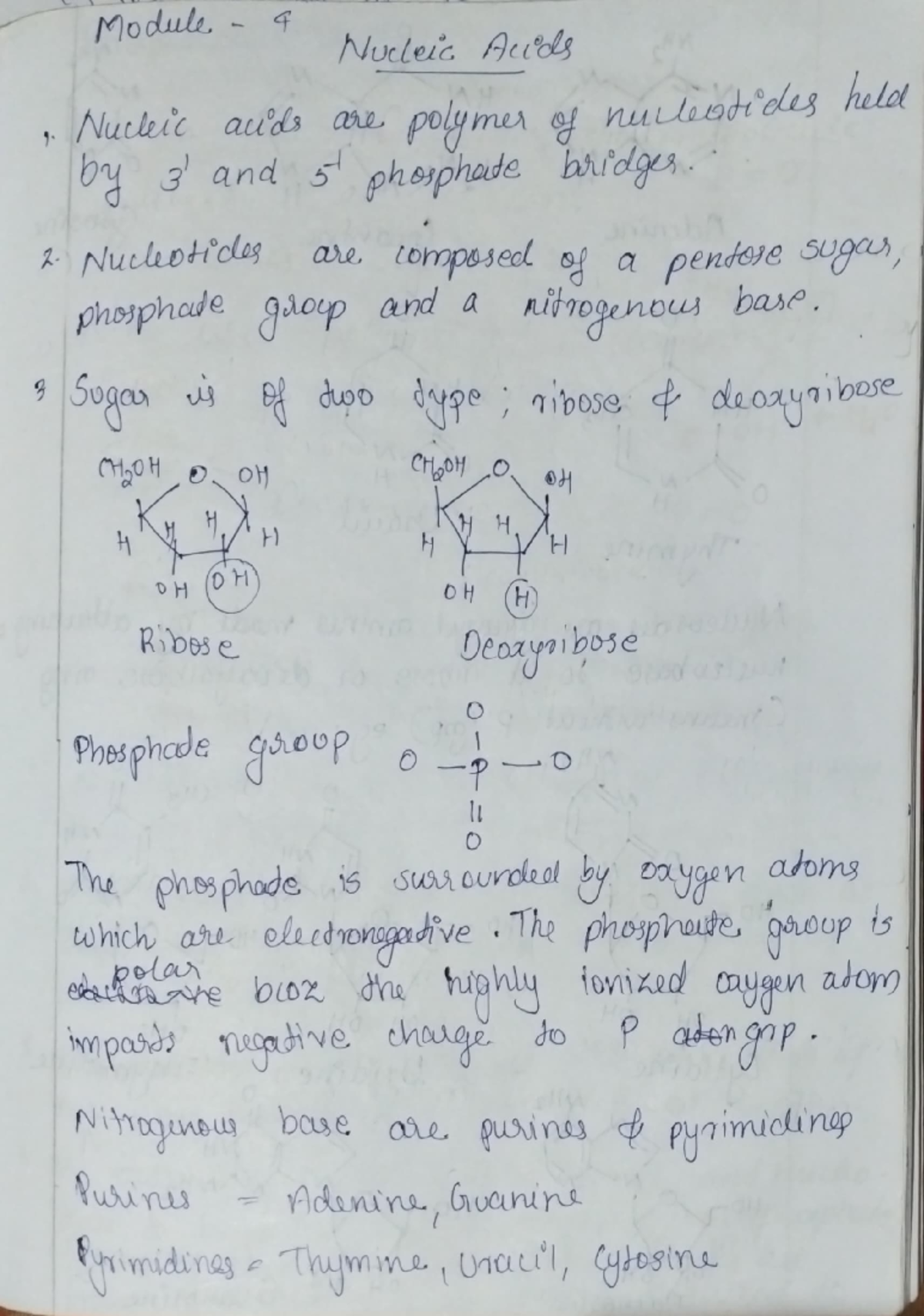 Nucleotide notes - Nucleit aks ae polymes e nucteot'leg helad by and s ...