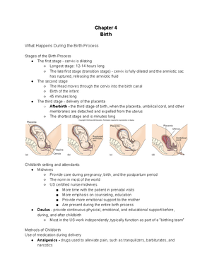 Chapter 3 - Chapter 3 Prenatal Development The Course of Prenatal Development The Germinal ...